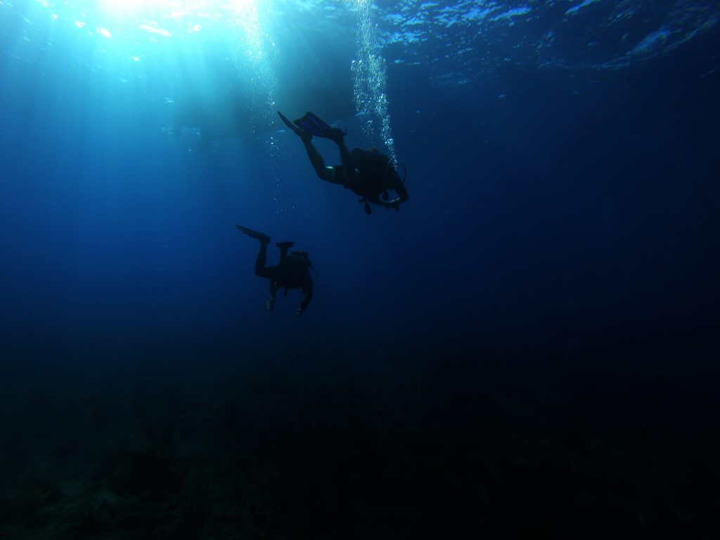 Diving Center Turtle Beach